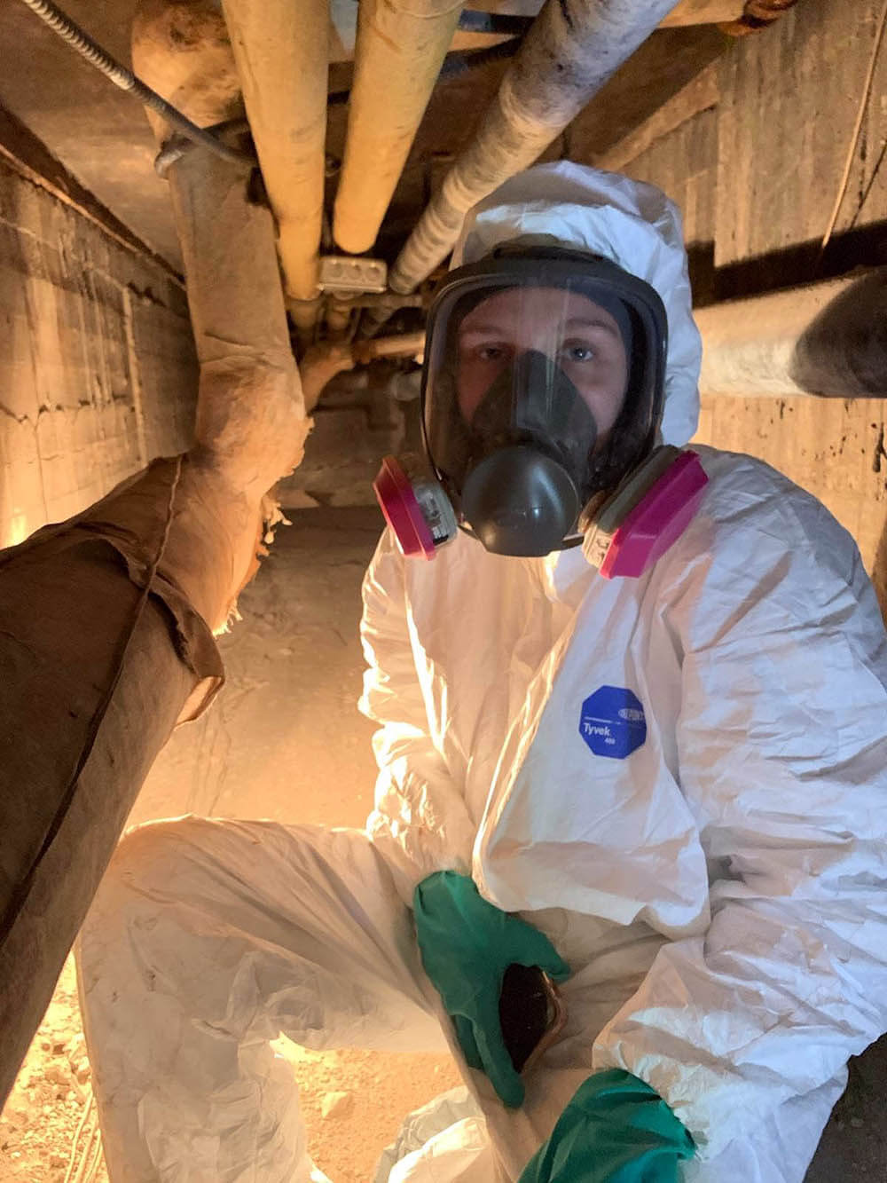 Is it Time for Mold Removal in Your Property? - The CleanUP Guys