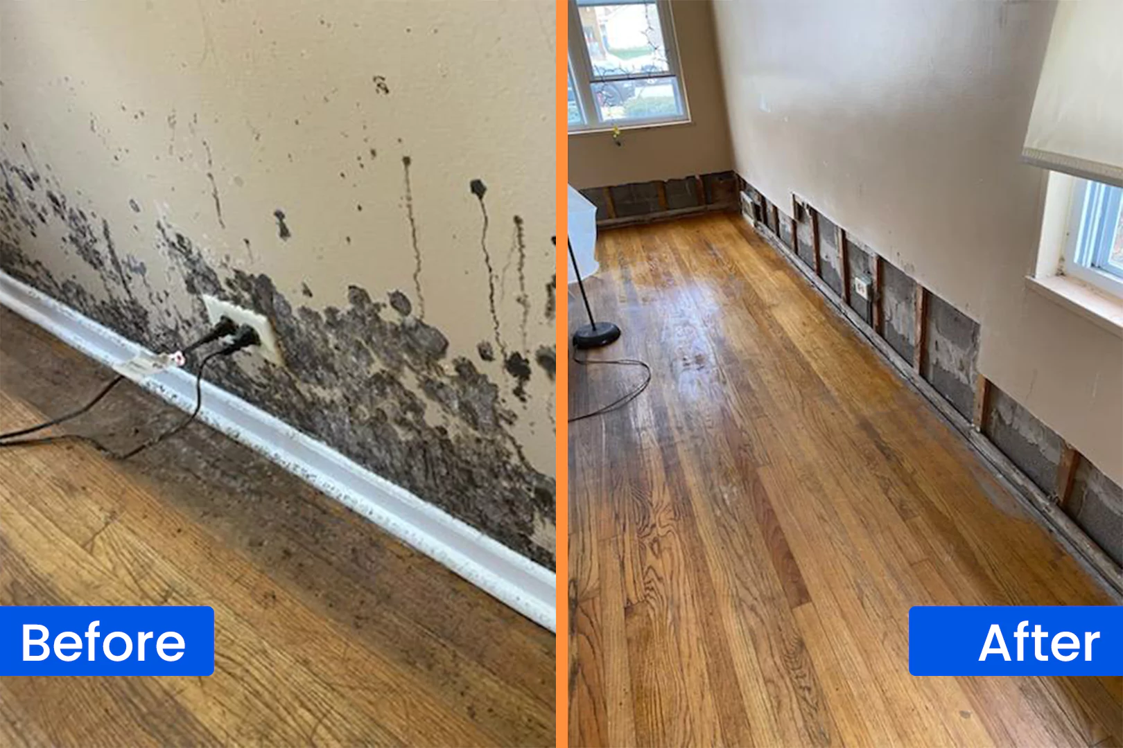Chicago Mold Removal Services | The CleanUP Guys