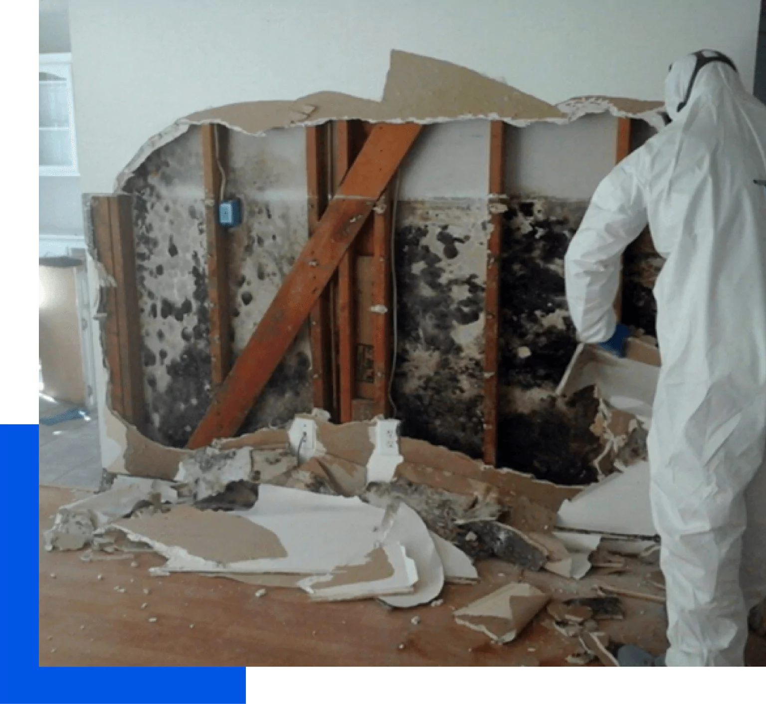 Chicago Mold Removal Services | The CleanUP Guys